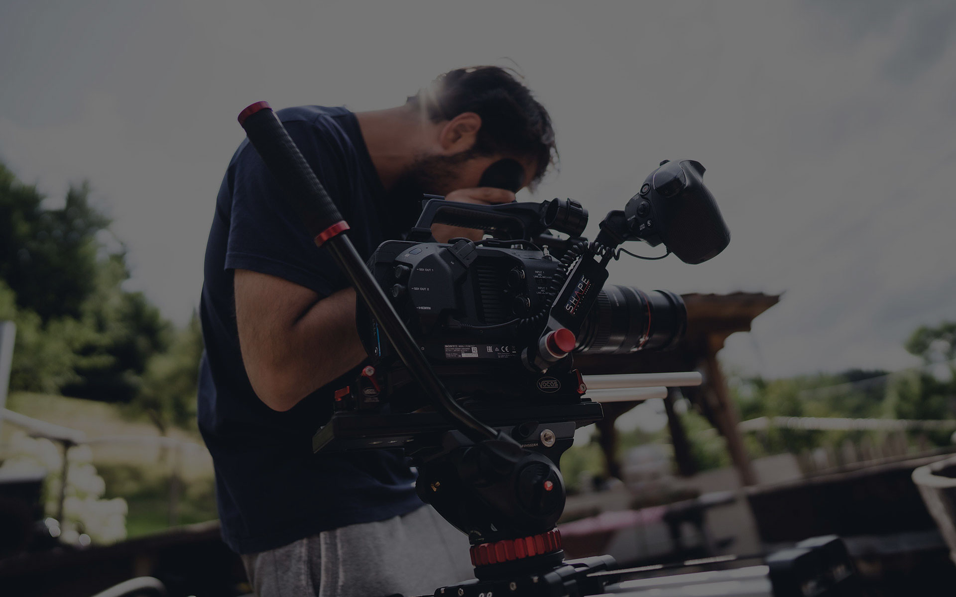 Home - Wolf Productions